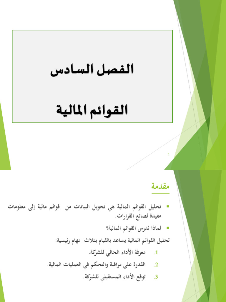 Financial Statements-Part 1 - Spring 2024 - Taghreed Hassouba | PDF