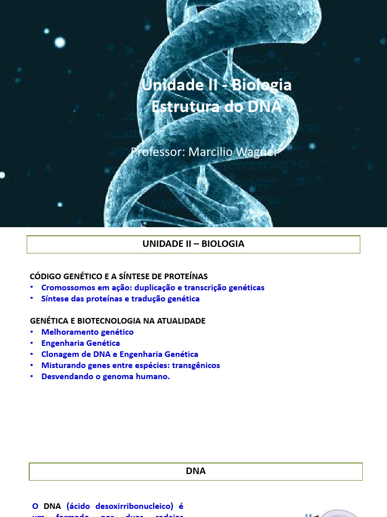 Estrutura e Função do DNA e RNA | PDF | RNA | DNA