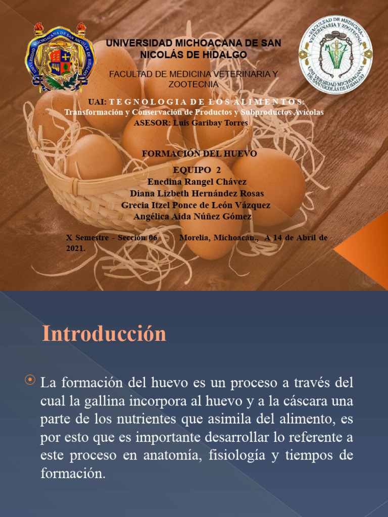 1TA. TCPSA EQUIPO 2 Semestre X. Secc. 06. FORMACIÓN DEL HUEVO | PDF ...