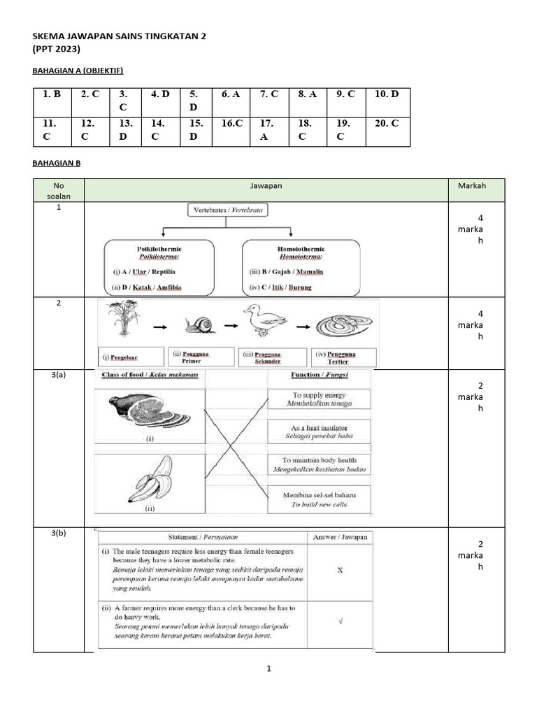 SKEMA JAWAPAN SAINS | PDF