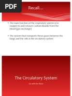 The 3 Types of Circulation | PDF