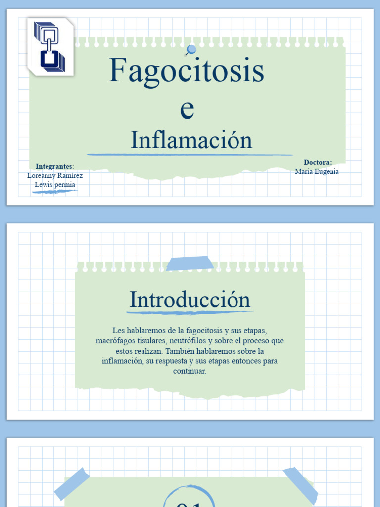 Procesos de La Fagocitosis y Inflamación | PDF | Inflamación | Macrófago