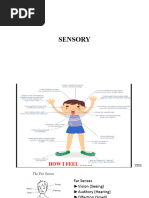 Our 8 Sensory Systems | PDF | Senses | Taste
