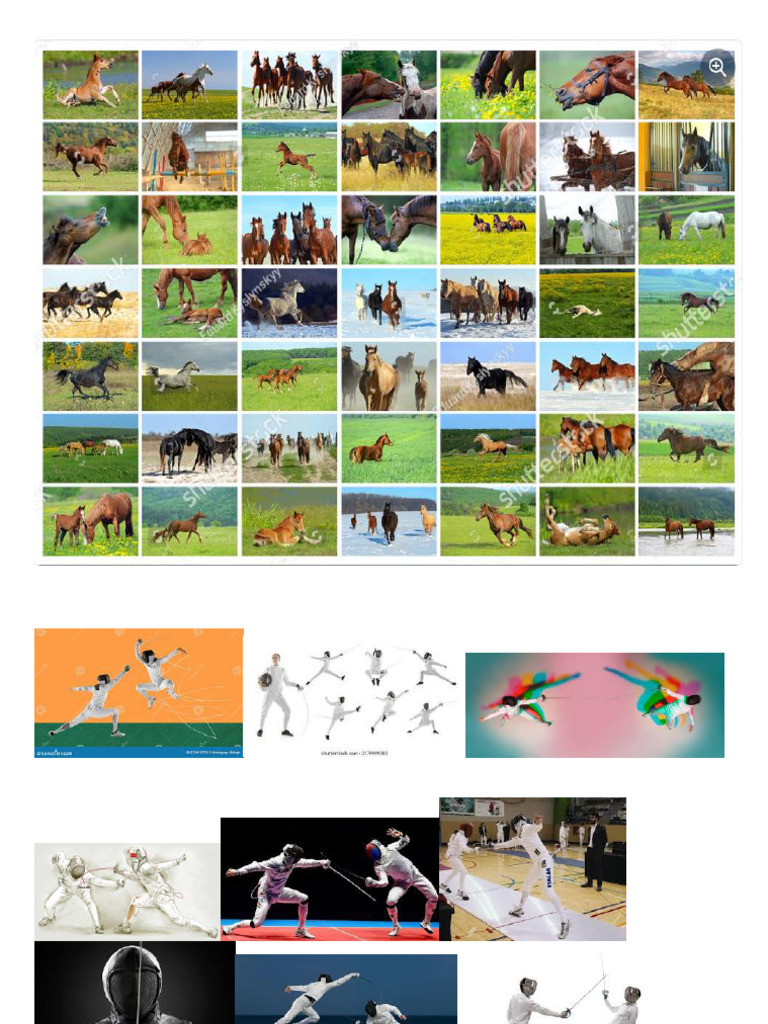 Collage | PDF