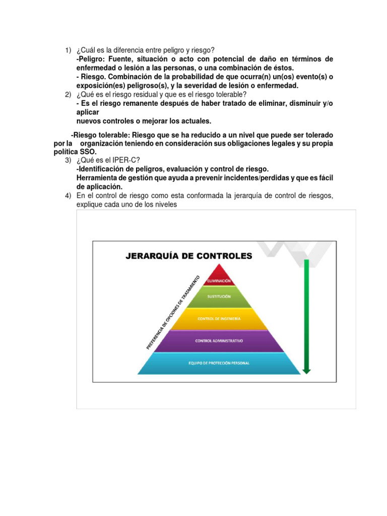 Cuestionario HSO | PDF | Riesgo