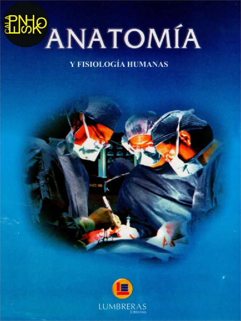 Lumbreras Anatomia | PDF