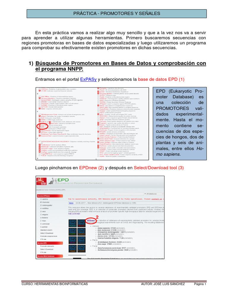 Prediccion Practica1 | PDF | Gene | Genoma