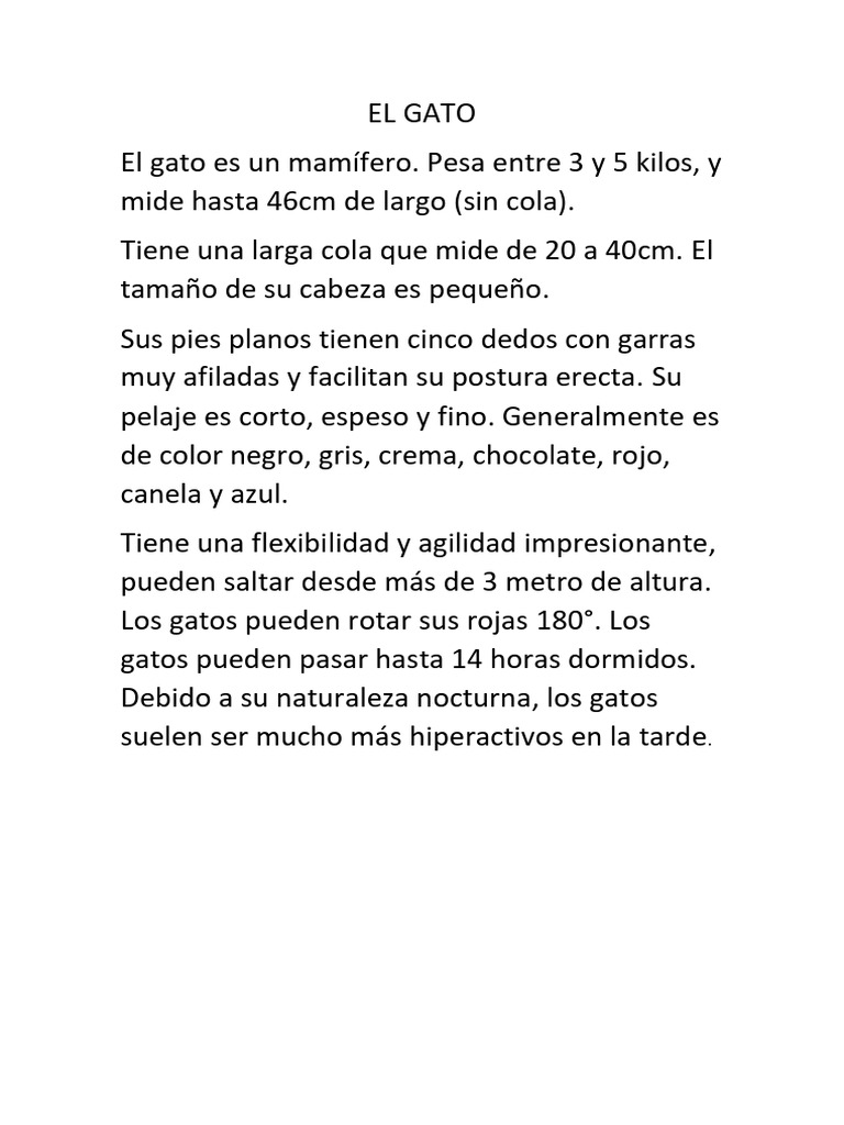 El Gato | PDF