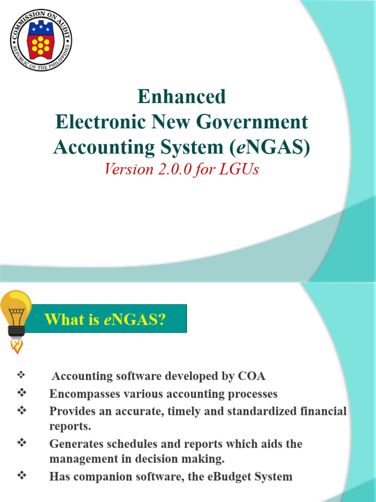 eNGAS Overview | Download Free PDF | Depreciation | Balance Sheet