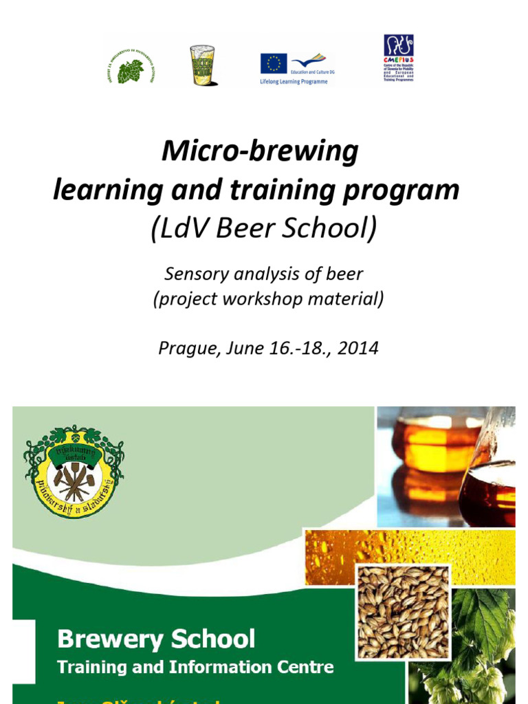 LdV BS - Sensory Analysis of Beer Workshop | PDF | Beer | Senses