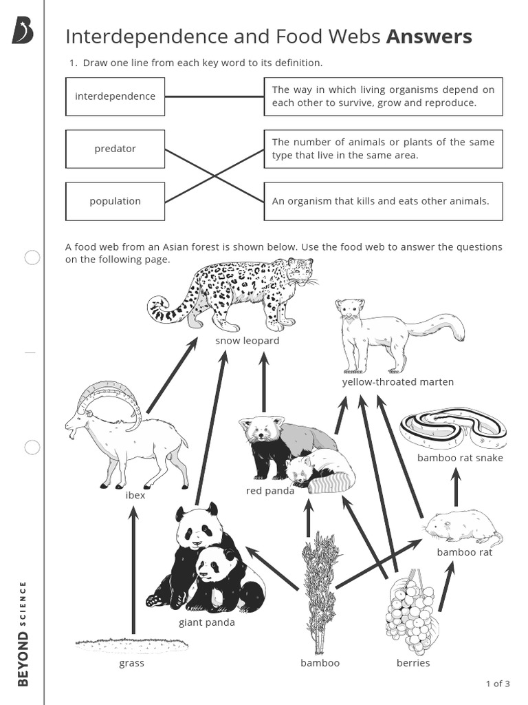 Interdependence and Food Webs Support - Answers | PDF | Predation ...