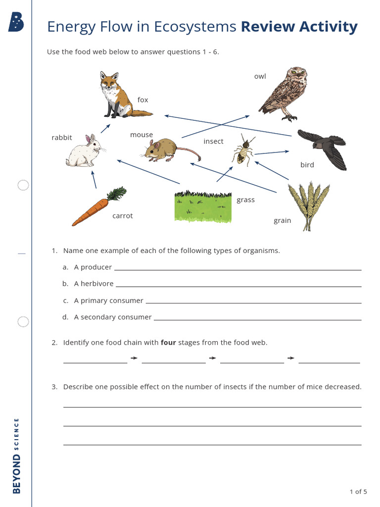 Ecosystems Review Activities - Review Activity | PDF | Predation | Food Web