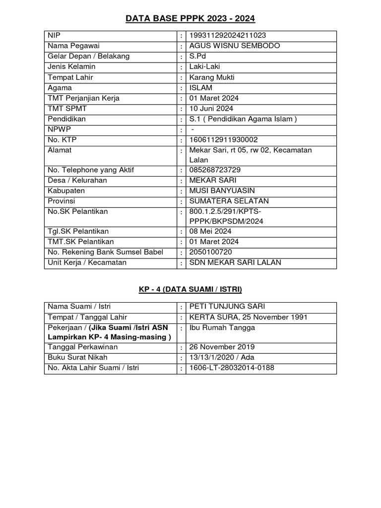 FORMAT PENGISIAN DATA PPPK - 2024 | PDF