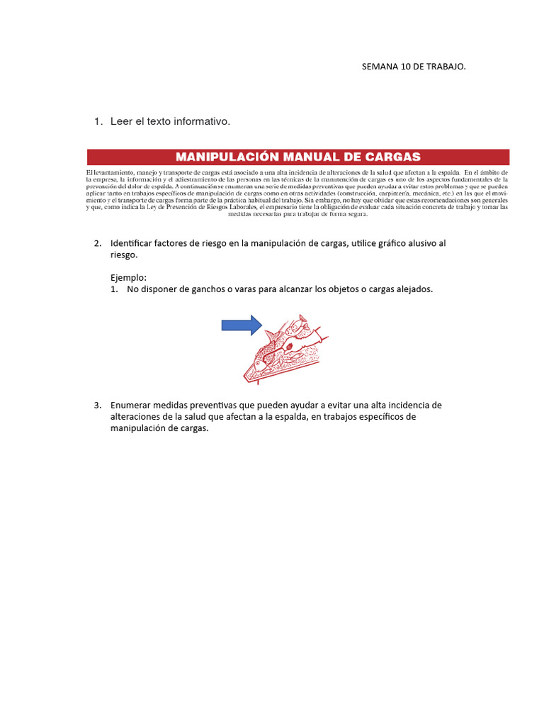 Manipulación Manual de Cargas | PDF