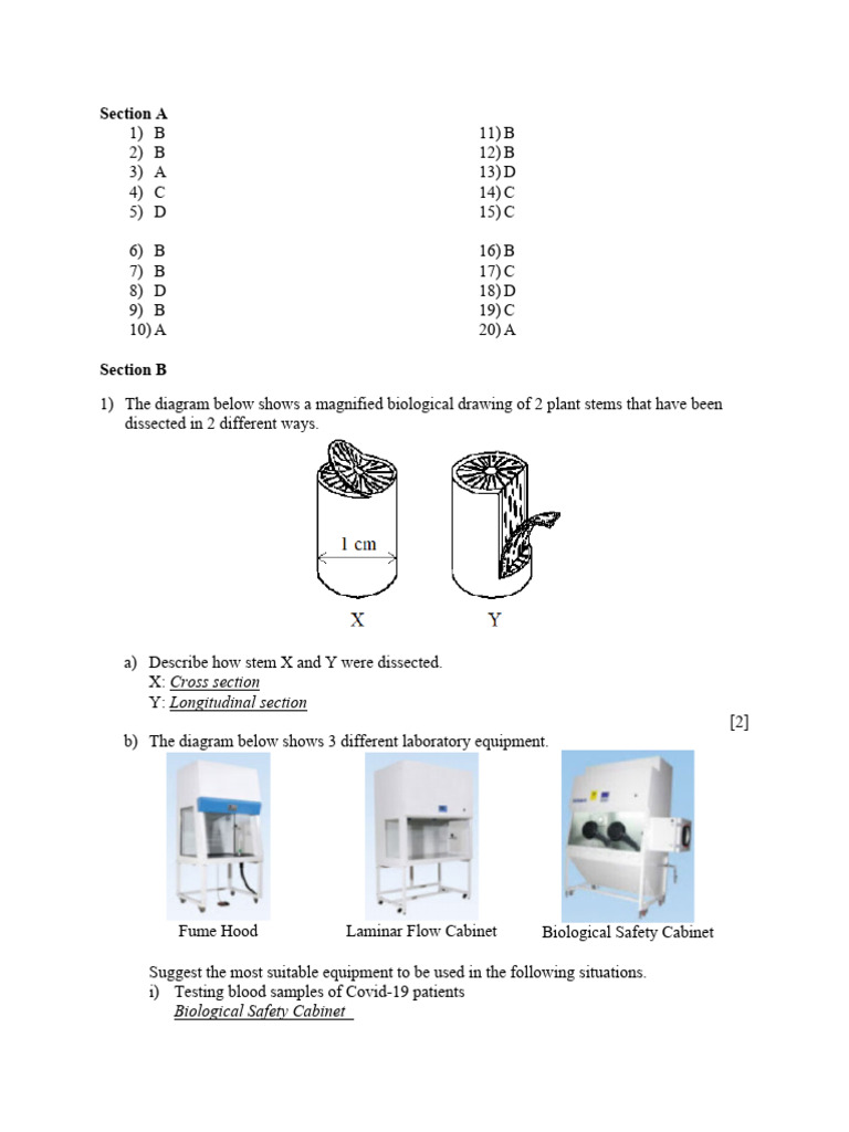 Ans 2022 PT1 F4 Bio | PDF | Lipid | Proteins