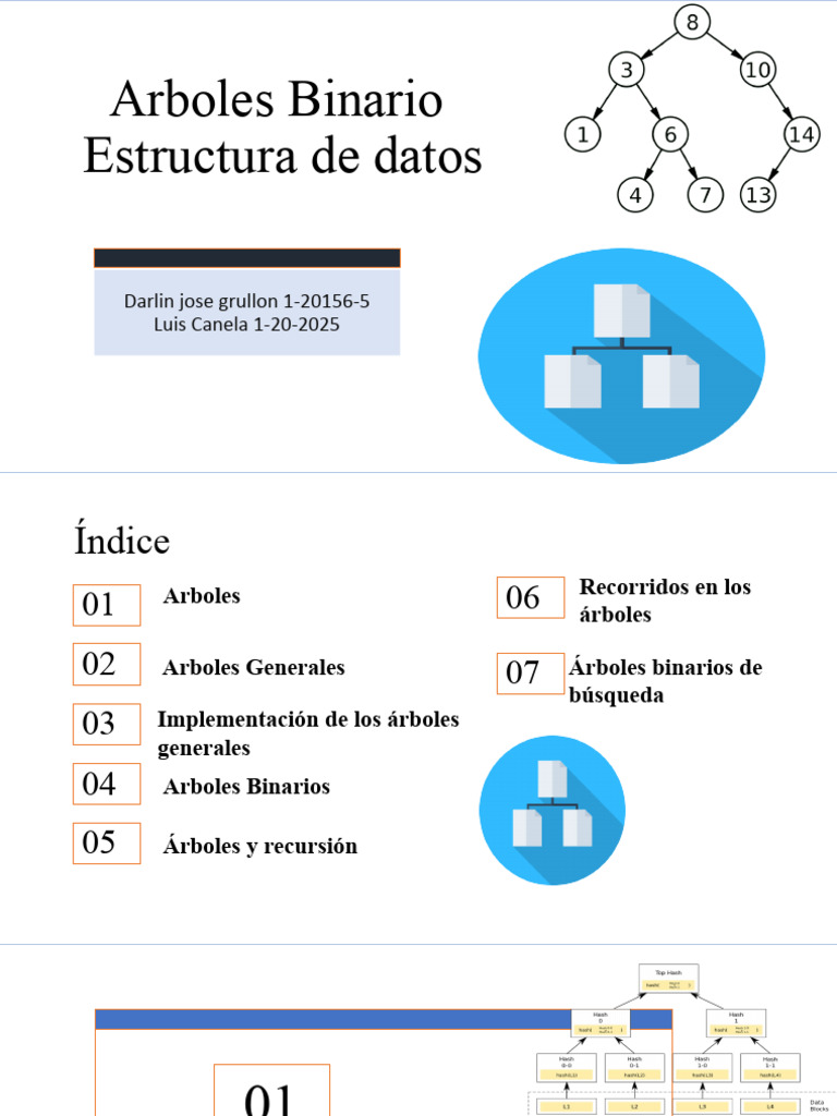 Ex Posicion e Structur A Dat | PDF | Informática | Algoritmos y ...