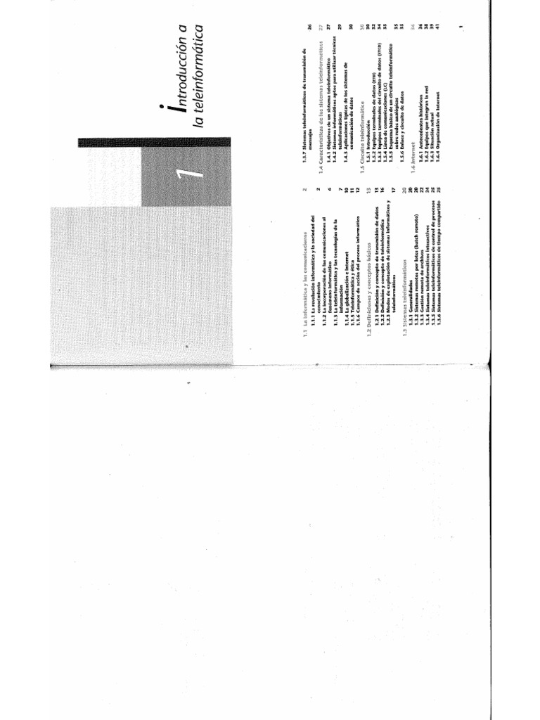 Conceptos Básicos Teleinformatica | PDF