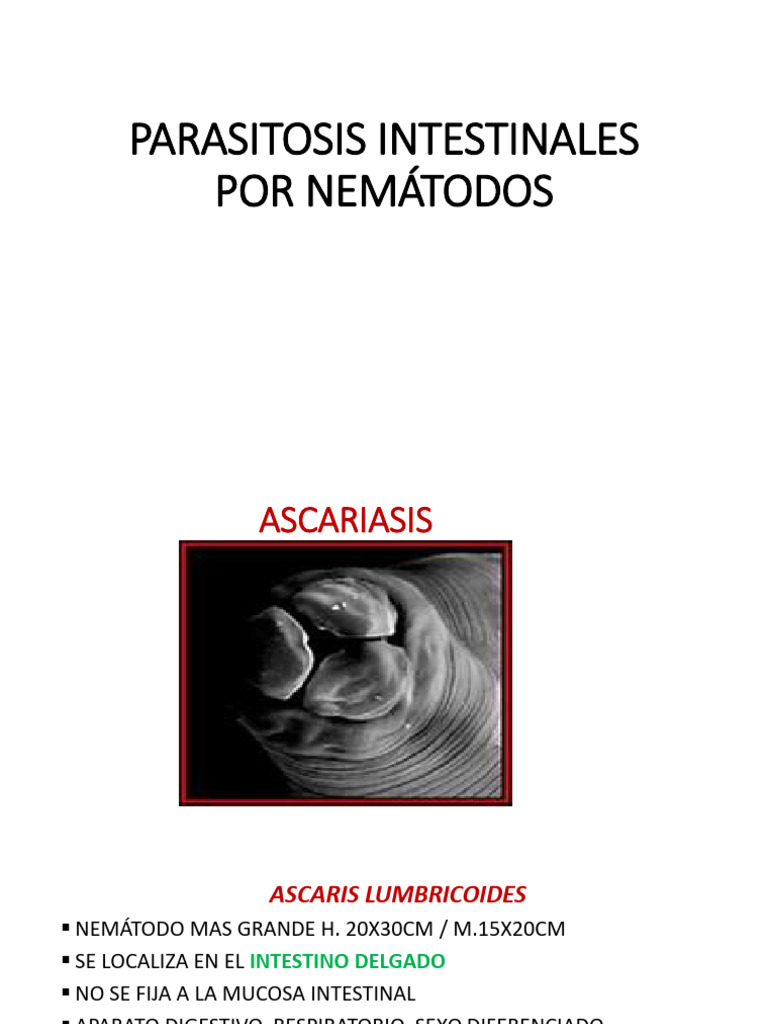 PARASITOSIS INTESTINALES POR NEMATODOS [Autoguardado] | PDF | Medicina ...