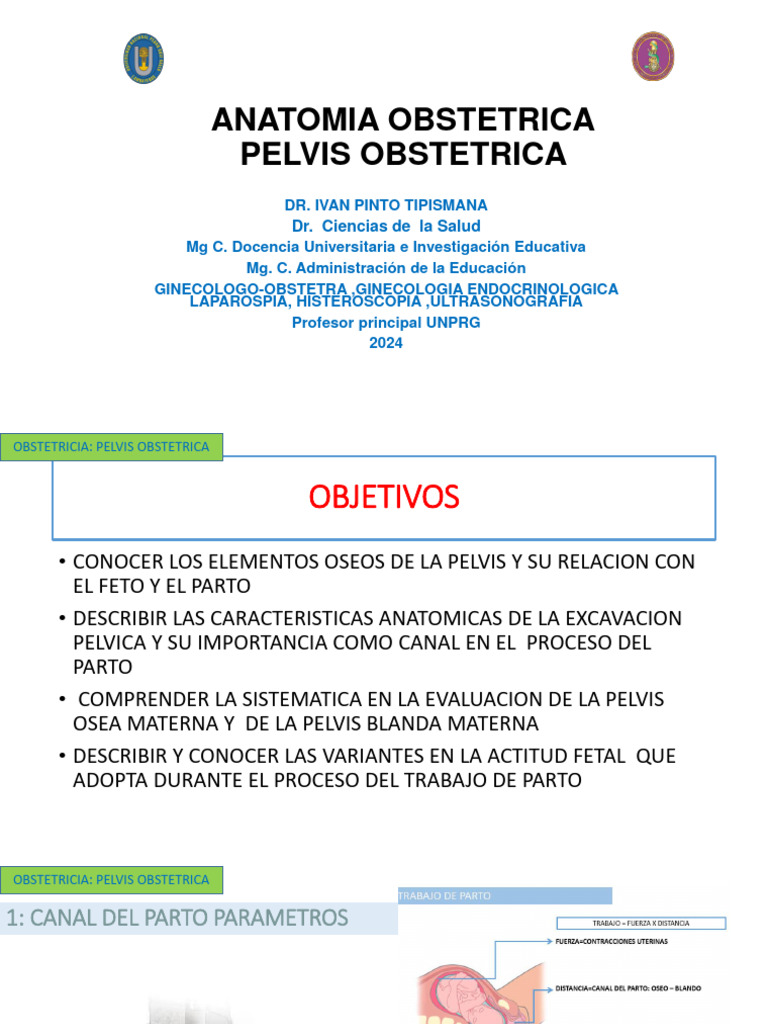 2 Tclase Pelvis Obstetrica 2024 Descargar Gratis Pdf Pelvis