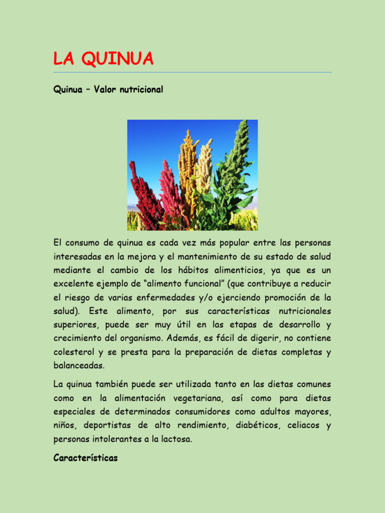 Beneficios y Cultivo de la Quinua | PDF | Quinua | Dieta