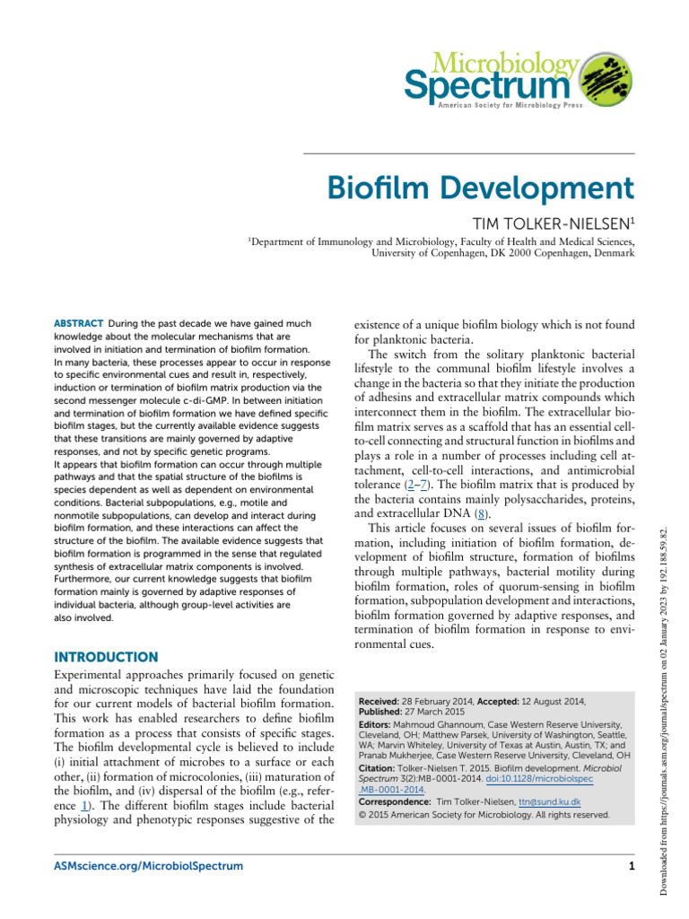 Microcolonies Structure | PDF | Biofilm | Pseudomonas Aeruginosa