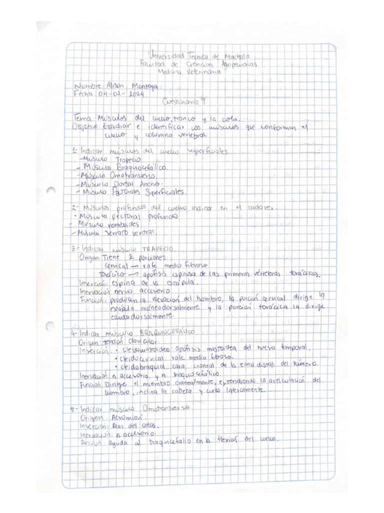 Cuestionario 9 Alison Montoya Anatomia | PDF