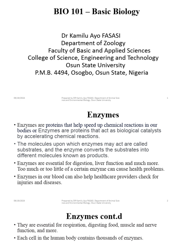 Bio 101 Basis Biology B Enzymes | PDF | Enzyme | Active Site