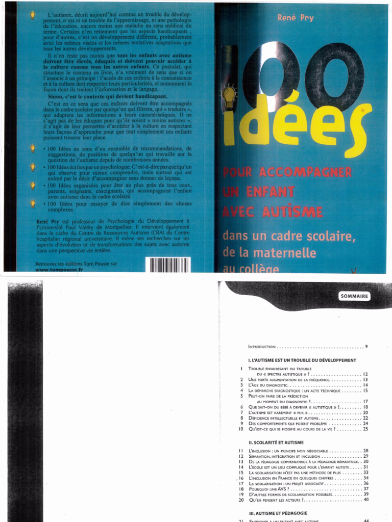 100 Idées Pour Accompagner Un Enfant Avec Autisme - Pry, René | PDF