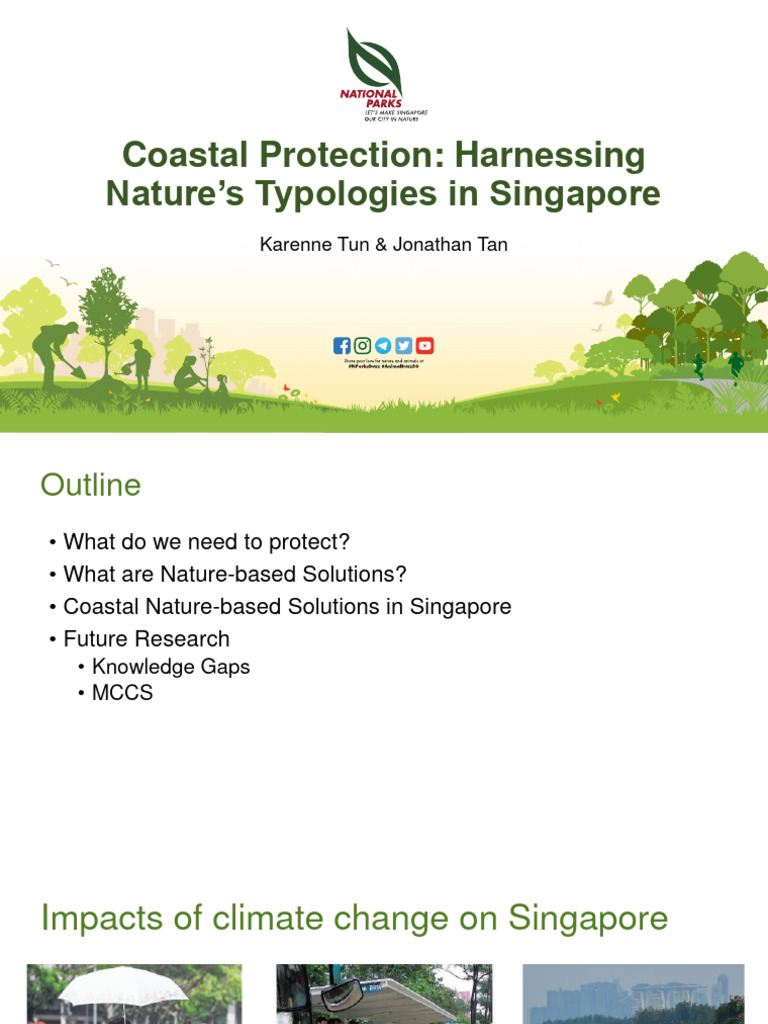 Nature-Based Coastal Solutions in Singapore | PDF | Physical Geography ...