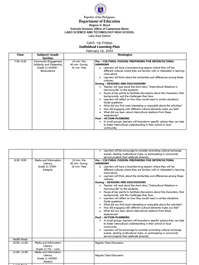 Catch Up Friday Individual Plan 02162024 | PDF | Learning | Mental Health