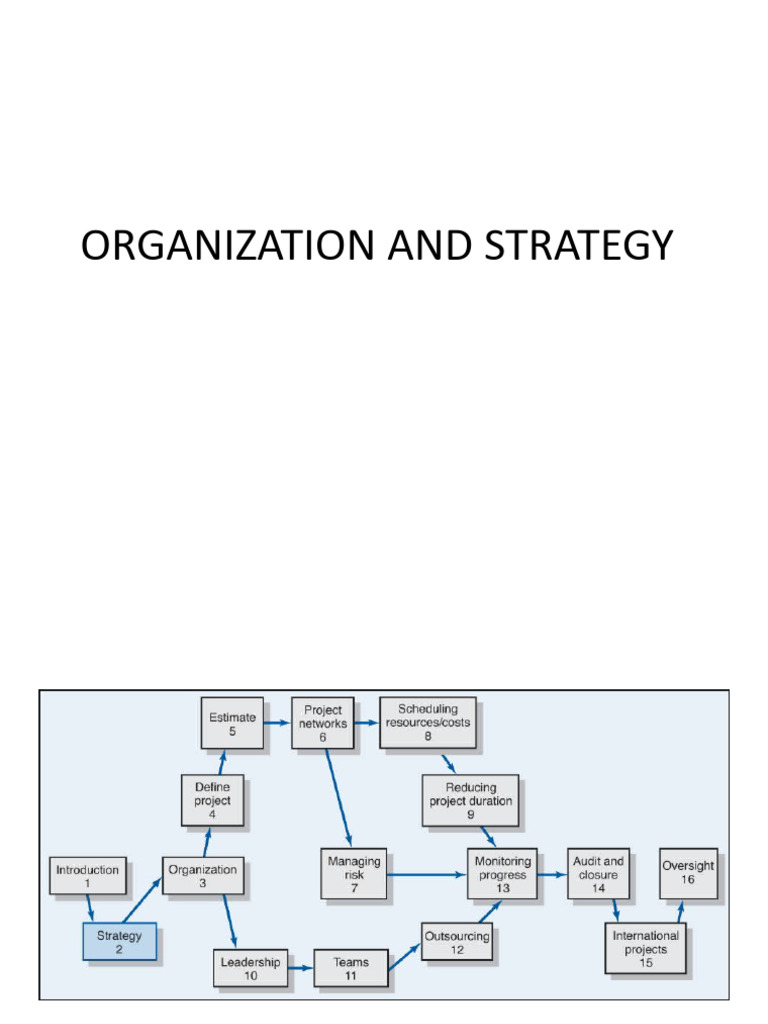 Project Management and Organizational Strategy | PDF | Organizational ...