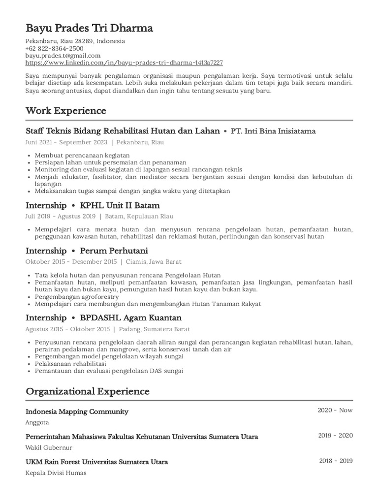 CV-Bayu Prades Tri Dharma | PDF