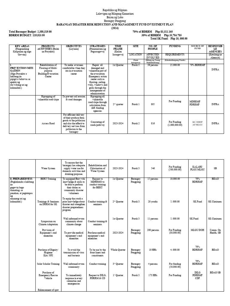 BDRRM Plan 2024 | PDF | Emergency Management