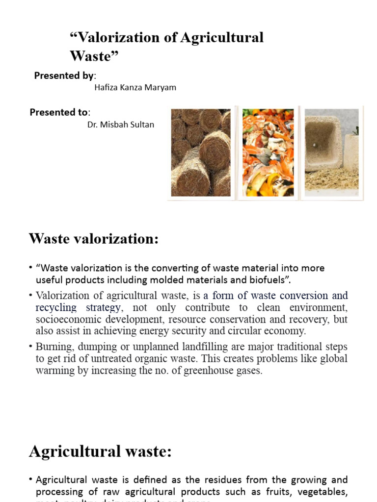 Agro Waste Valorization | PDF | Biofuel | Waste Management