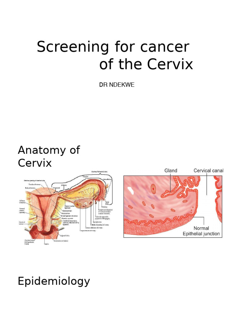 Converted - SCREENING FOR CANCER OF THE CERVIX | PDF | Cervical Cancer ...