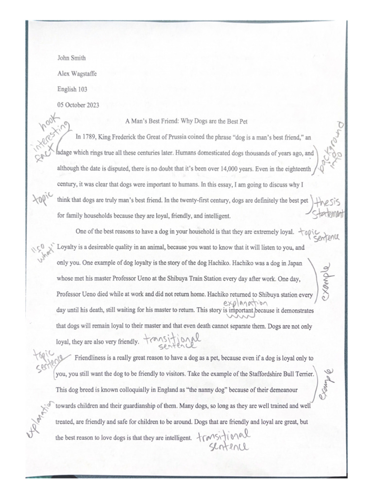 Essay Example With Markup | PDF