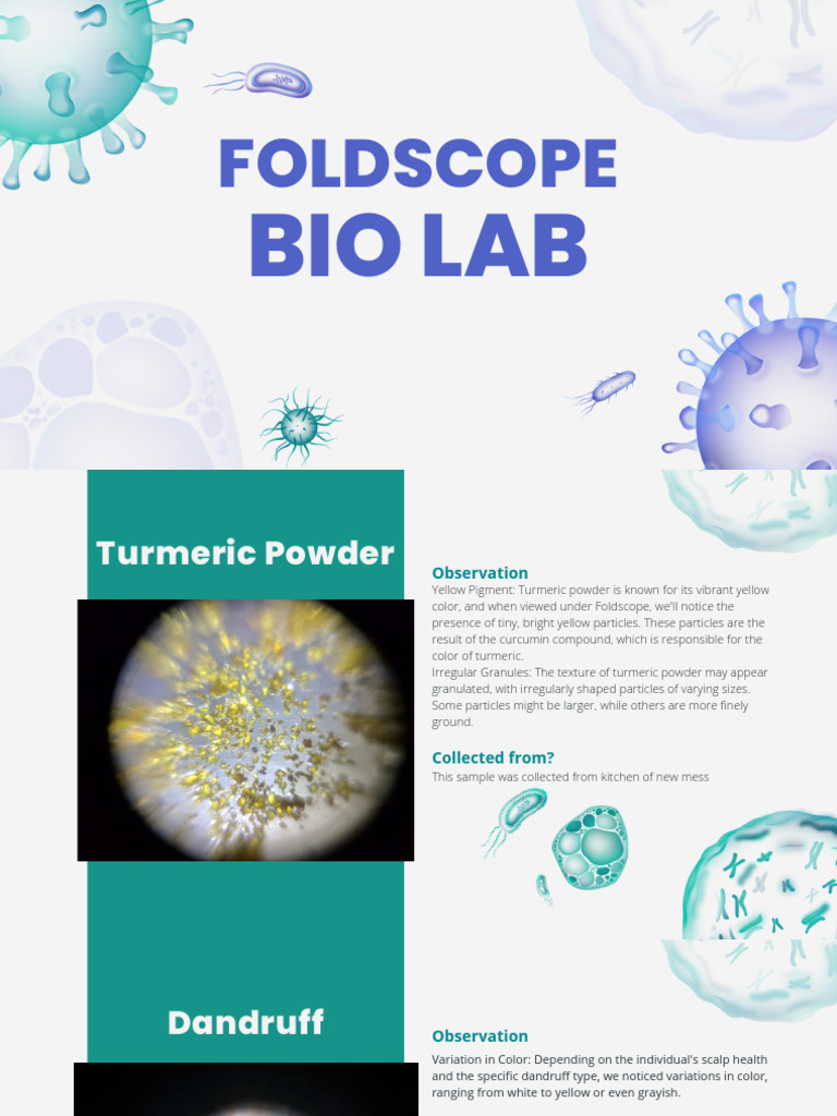 Foldscope Assignment | PDF | Textiles | Turmeric
