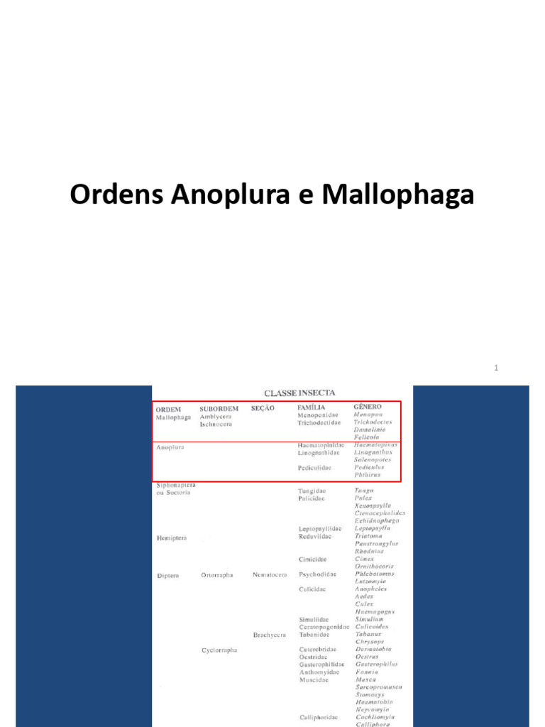 Ordem Anoplura e Mallophaga | PDF