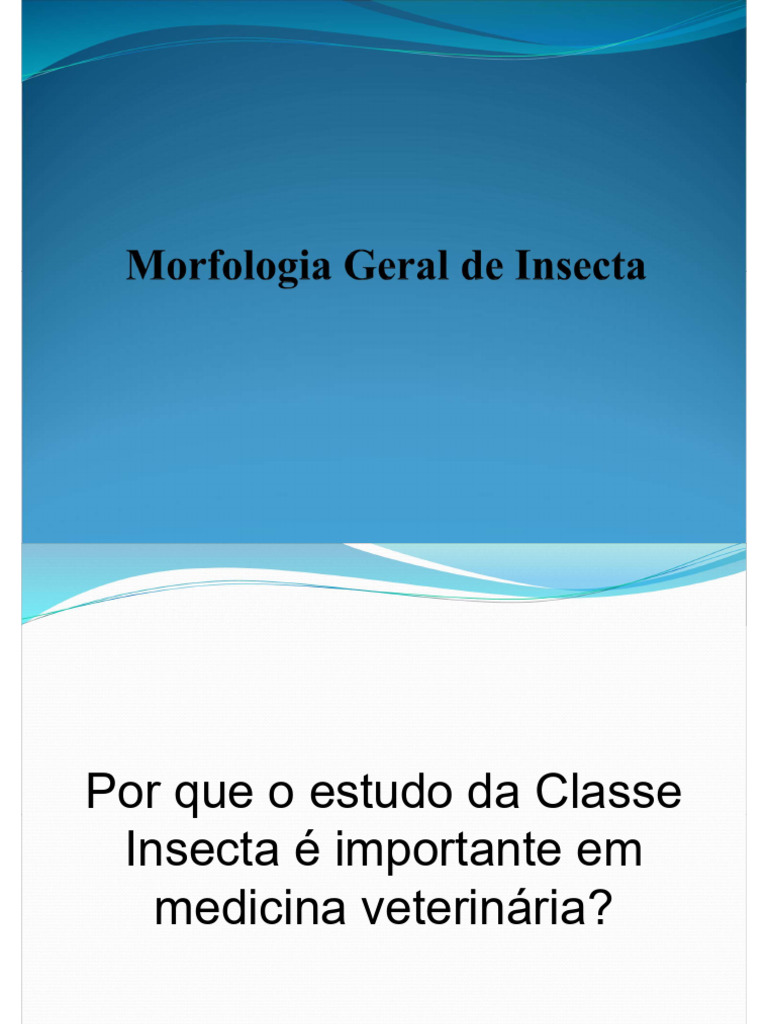 Morfologia Geral Classe Insecta | PDF | Insetos | Parasitismo