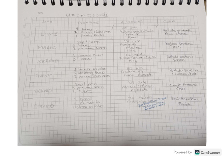 Tabla de Nutrición Leidy Ortiz | PDF