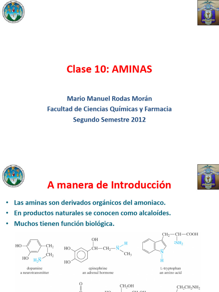 Clasificación y Nomenclatura de Aminas | PDF | Amina | Sustancias químicas