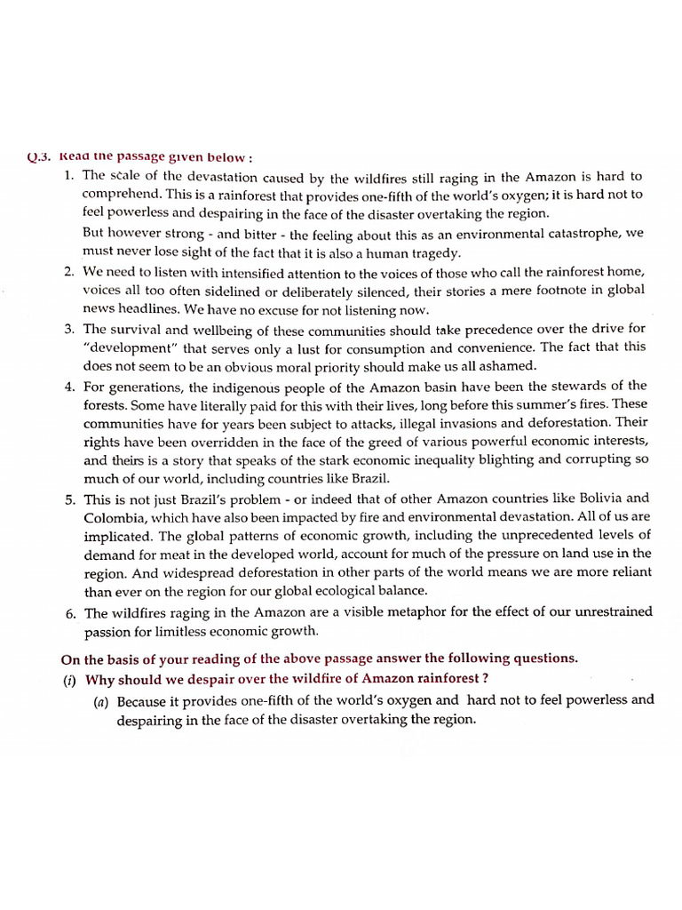 Class 12 Comprehension Assignment | PDF