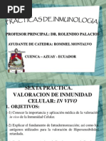 Prueba de Montenegro en Leishmaniasis | PDF | Sistema inmune ...