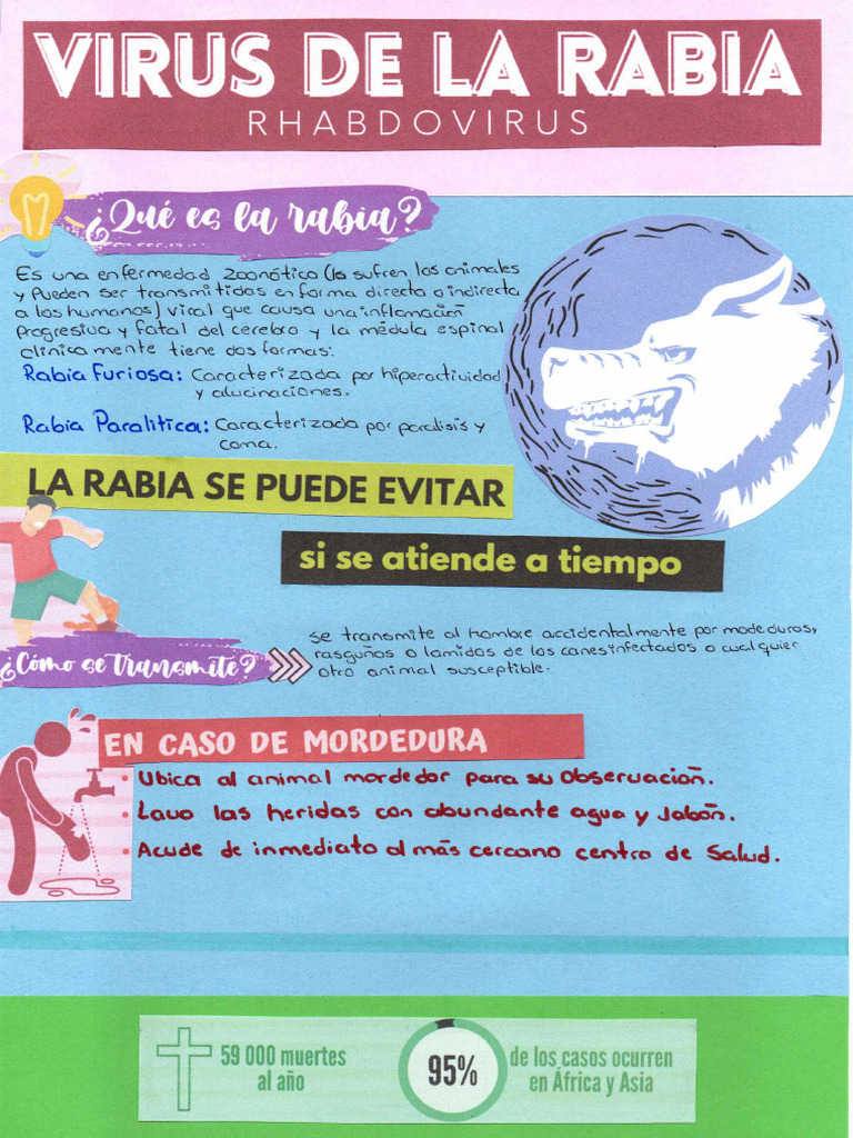 Rabia - Infografia - SSV | PDF