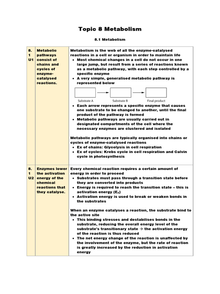 Topic 8 Metabolism | PDF | Cellular Respiration | Adenosine Triphosphate