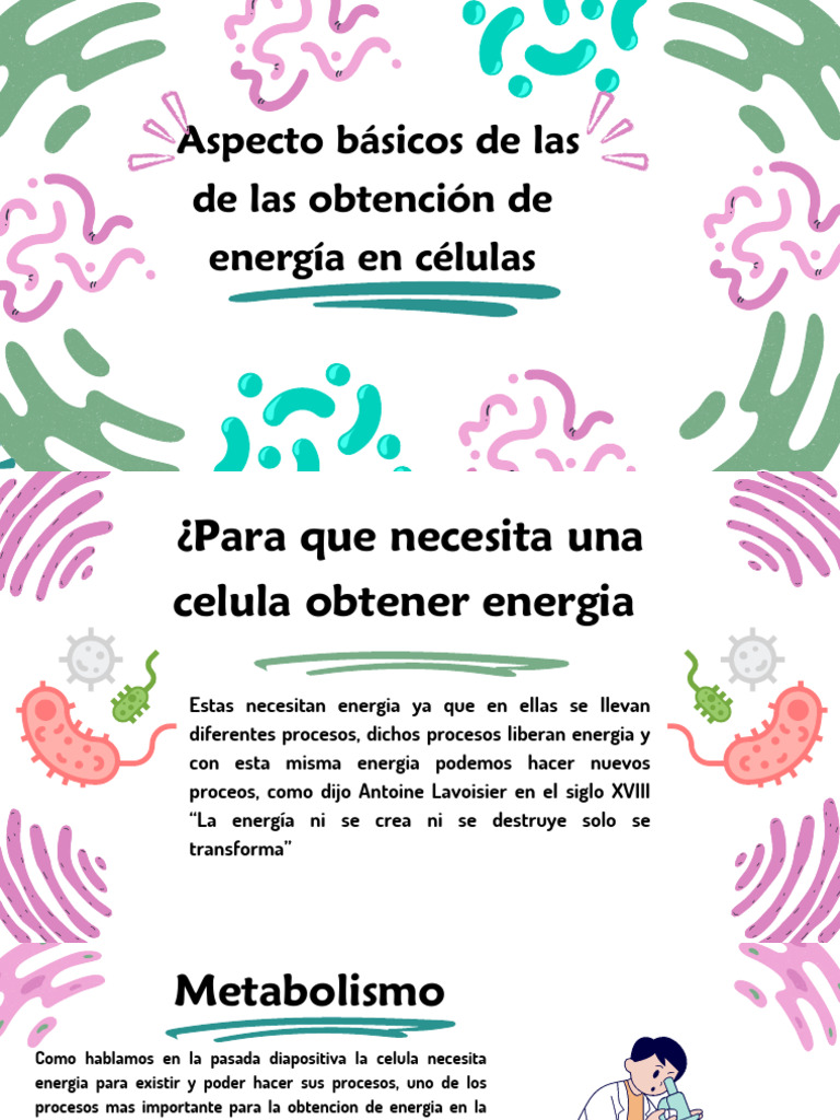 Aspecto básicos de la obtención de energía celular | PDF | Trifosfato de adenosina | Respiración ...