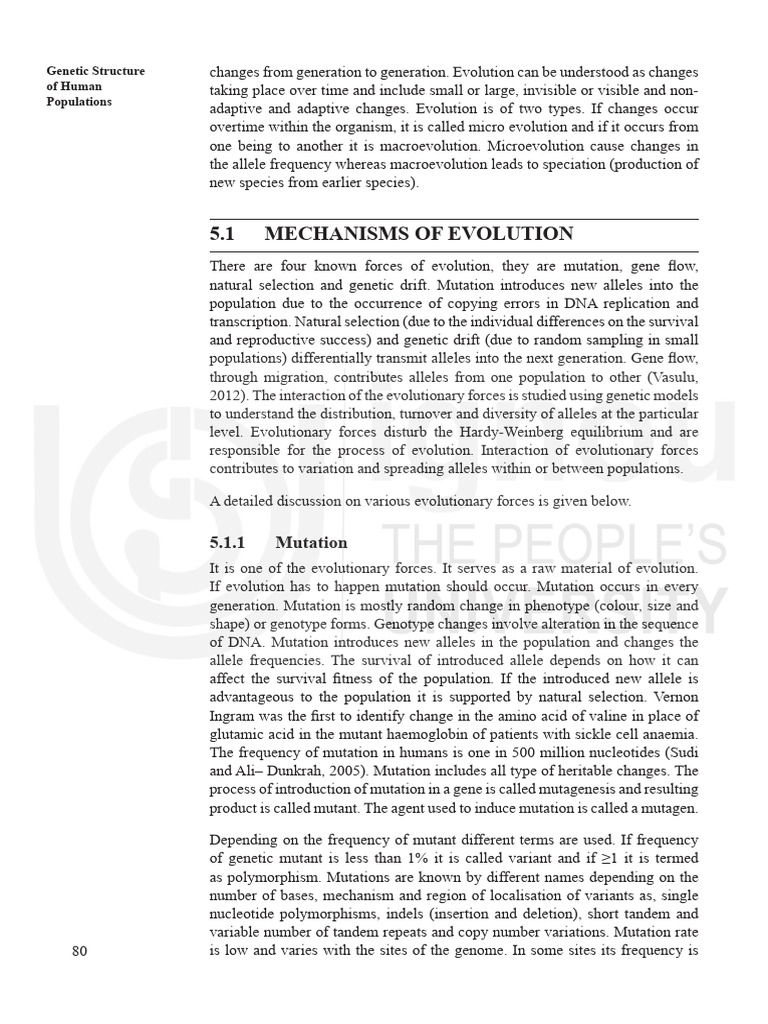Evolution Mutation New | PDF | Zygosity | Evolution