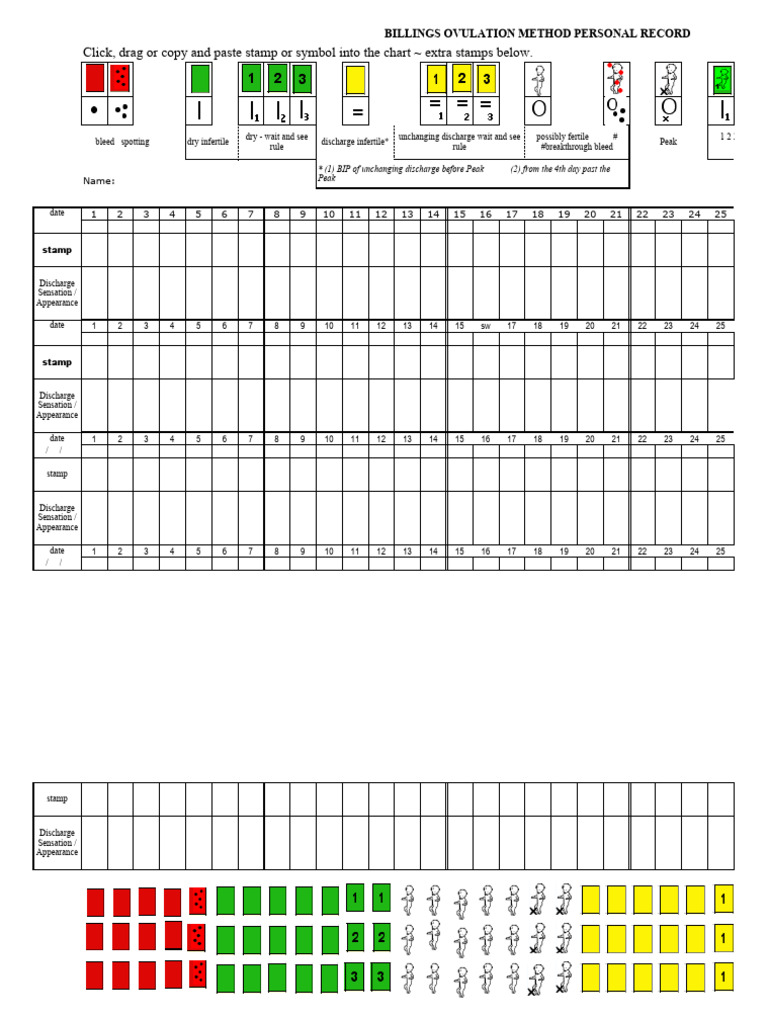 Chart For Computer Use | PDF | Sexual Anatomy | Obstetrics