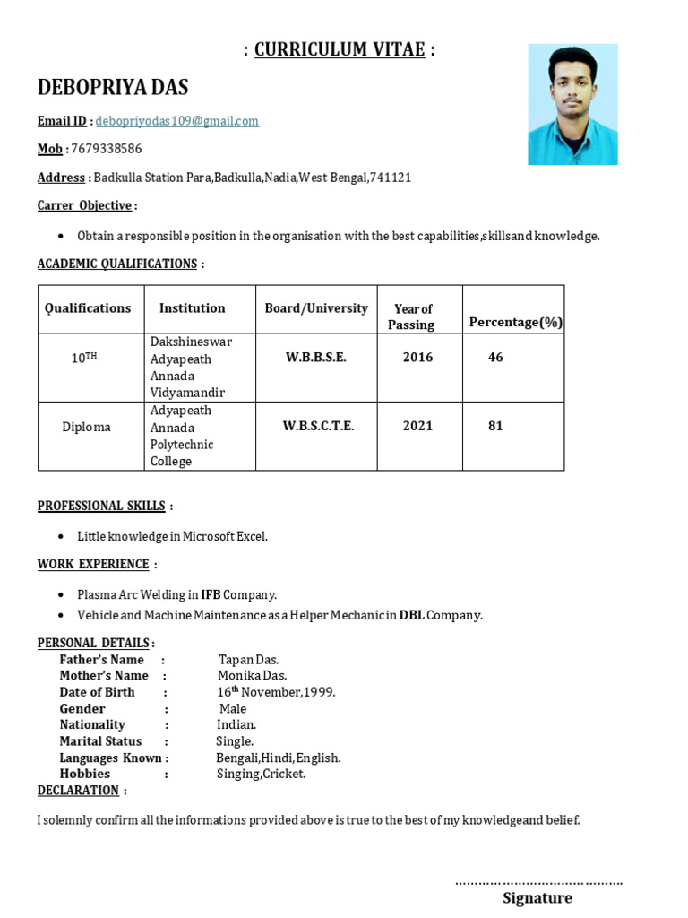 Entry-Level Job Seeker CV | PDF