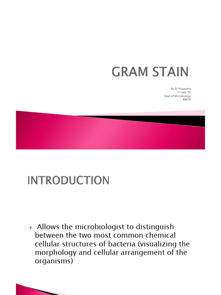 04 Gram Stain Theory Bmcri | Download Free PDF | Gram Positive Bacteria ...